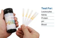 China INVBIO Urinalysis Test Strips 50 Pack UTI Test Kit for Women Men Home Use Leukocytes Nitrite pH for sale