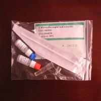 China INVBIO Chlamydia Rapid Test Kit 98.39% Accuracy 25 Tests per Box Swab Specimen for sale