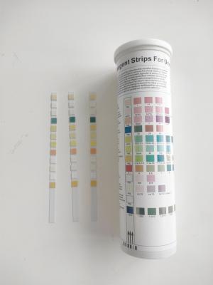 China Fsc Urinalysis Test Strips 10 Parameter 100 Strips/Bottle for sale