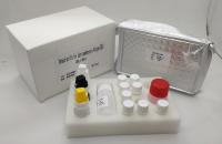 China High Sensitive CEA Elisa Kit Detection Human Carcinoembryonic Antigen for sale