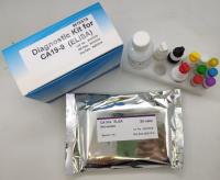 China INVBIO HBsAg Hepatitis B Surface Antigen ELISA Test Kit 96 Tests CE ISO13485 for sale