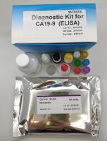 China INVBIO T3 ELISA Rapid Test Kit 96 Tests Clinical Diagnostic for Thyroid HIV HBsAg AFP for sale