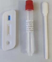 China INVBIO One Step Hepatitis C Virus Antibody Saliva Rapid Test Kit 25 Tests 98.82% Accuracy for sale