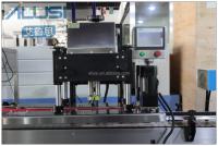 China Ailusi SUS304 316L Plastic Bottle Liquid Filling Capping Production Line 1000ml for sale