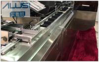 China Automatic Horizontal Cartoning Machine 60-80 Boxes Min PLC Controlled Tube Box Packing Machine for sale