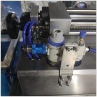 China SUS Liquid Soap Filling Machine Bottle Piston Pneumatic 50-500ml Filling Machine for sale