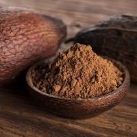 China AOAC Dutche Alkalized Cocoa Ingredients Powder For Chocolate Production for sale