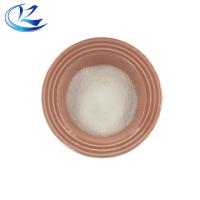 China OEM Sodium Gluconate Natural Gluconic Acid Sodium Salt Powder For Dairy Food Processing for sale