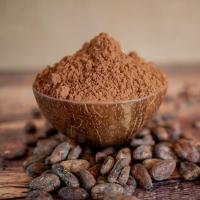 China Food Grade Organic Alkalized Cocoa Ingredients Powder 25kg For Chocolate Industry for sale