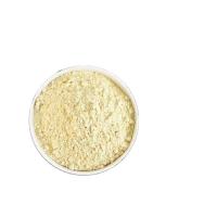 China Hydrolyzed Pea Protein Powder Pure White Vegetable Protein for Food Applications for sale