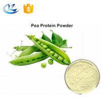 China Hydrolyzed Pea Protein Powder Pure White Vegetable Protein for Food Applications for sale