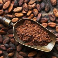 China Natural Cocoa Powder for Baking Perfect for Tiramisu & Malteser Cake for sale
