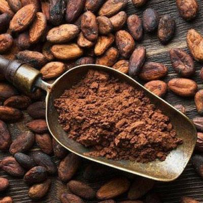 China Natural Cocoa Powder for Baking Perfect for Tiramisu & Malteser Cake for sale