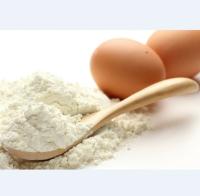 China Food Grade Protein Albumen Egg White Powder 99% Purity Egg Powder for sale