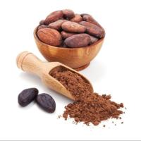China Versatile Dark Brown Dutch Processed Cocoa Fat 10-12% Powder for Recipes and Beverages for sale
