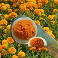 China ODM Pure Lutein Powder Bulk For Food Industry Cas 127-40-2 Cas 547-17-1 for sale