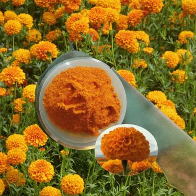 China ODM Pure Lutein Powder Bulk For Food Industry Cas 127-40-2 Cas 547-17-1 for sale