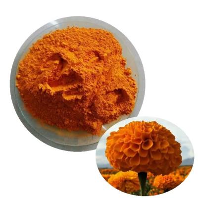 China Food Grade Natural Lutein Powder from Marigold Flower Extract for Supplement Ingredients | Bulk Bag and Drum Options Available for sale