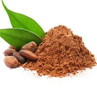China 25kg Additive Free Dutch Cocoa Ingredients Powder Alkalized For Baked Cakes Cookie for sale