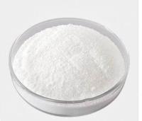 China Food Additives  Lipase Enzyme Powder  25kg Cas 9001-62-1  For Cheese Making for sale