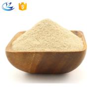 China 25kg Organic Vital Wheat Gluten Flour Protein Powder For Pizza Pasta Bakery Bread for sale