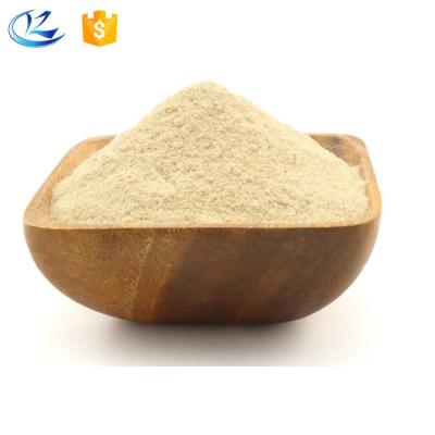 China 25kg Organic Vital Wheat Gluten Flour Protein Powder For Pizza Pasta Bakery Bread for sale