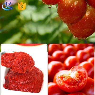 China Renze Food Flavoring Agent Cake Essence Canned Tomato Sauce Paste for sale