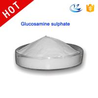 China Cas 3416-24-8 Food Nutritional Supplement HCl Pure Glucosamine Powder Support Joint Health for sale