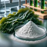 China Food Grade Sodium Alginate Powder – Viscosity Stabilizer for Ice Cream, Jelly & Sauces for sale