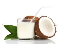 China Unsweetened Desiccated Coconut Powder 100% Natural Ideal for Baking & Health Foods for sale