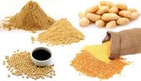 China Dairy-Free & Vegan? Discover the Perfect Plant-Powered Pea Protein Powder. for sale