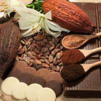 China Halal Certified Organic Alkalized Cocoa Ingredients Powder For Chocolate Cake for sale