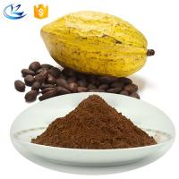 China Wholesale 10-12% Fat Content Alkalized Cocoa Powder from Ghana in 25kg Bags for Baking and Beverages for sale