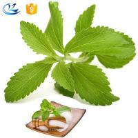 China Natural Food Sweetener Organic Stevia Powder Drops For Beverages Dairy For Coca Cola Baking for sale