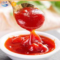 China RTE Concentrated Tomato paste With sweet and sour taste 25kg Bulk Food additive for sale