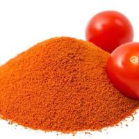 China Spray Dried Tomato Powder Seasoning for Sauce Soup & Bakery for sale