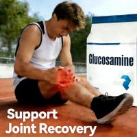 China High Purity Glucosamine for Joint Health & Cartilage Repair Food Grade for sale