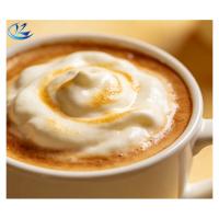 China Velvety Non Dairy Creamer Cost-Effective Bulk Ingredients for Catering & Beverage Brands for sale
