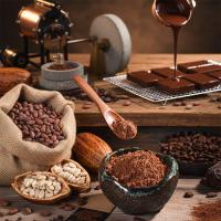China Natural Unsweetened Cocoa Powder for Ice Cream Biscuits & Drinks for sale