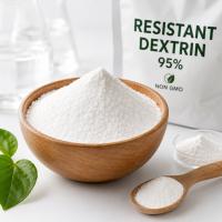 China Food Nutritional Supplement Resistant Dextrin 95 Percent Non GMO Fiber Supporting Balanced Nutrition and Digestive Health for sale