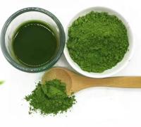 China Natural Pure Pandan Powder Premium Food Additive Vibrant Green Colour Intense Aroma 25kg for sale