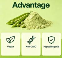 China Premium Plant-Based Pea Protein for Muscle Growth & Daily Nutrition Supplement for sale