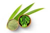 China Natural Pandan Powder Food Grade Pandan Leaf Extract Powder Green Color Food Additive 25kg for sale