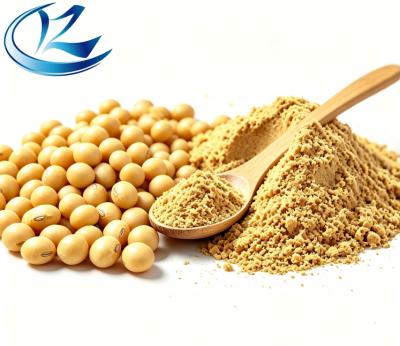 China Premium Soy Sauce Powder, Dehydrated Seasoning Powder for Bulk Wholesale for sale