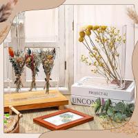China Acrylic Flower Box Phase Frame Display Rack for Arranging Flowers and Plants for sale