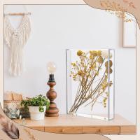 China Acrylic Flower Box Phase Frame Display Rack for Arranging Flowers and Plants for sale