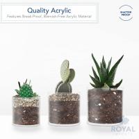 China Round Vase Acrylic Box Transparent Color Round  5.5 Inch for sale