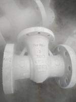 China LNG Transportation Use API 600 Cryogenic Valve for sale