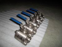 China Blowout Proof WCB Forging Floating Ball Valve Anti Static for sale