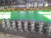 China NPS 4